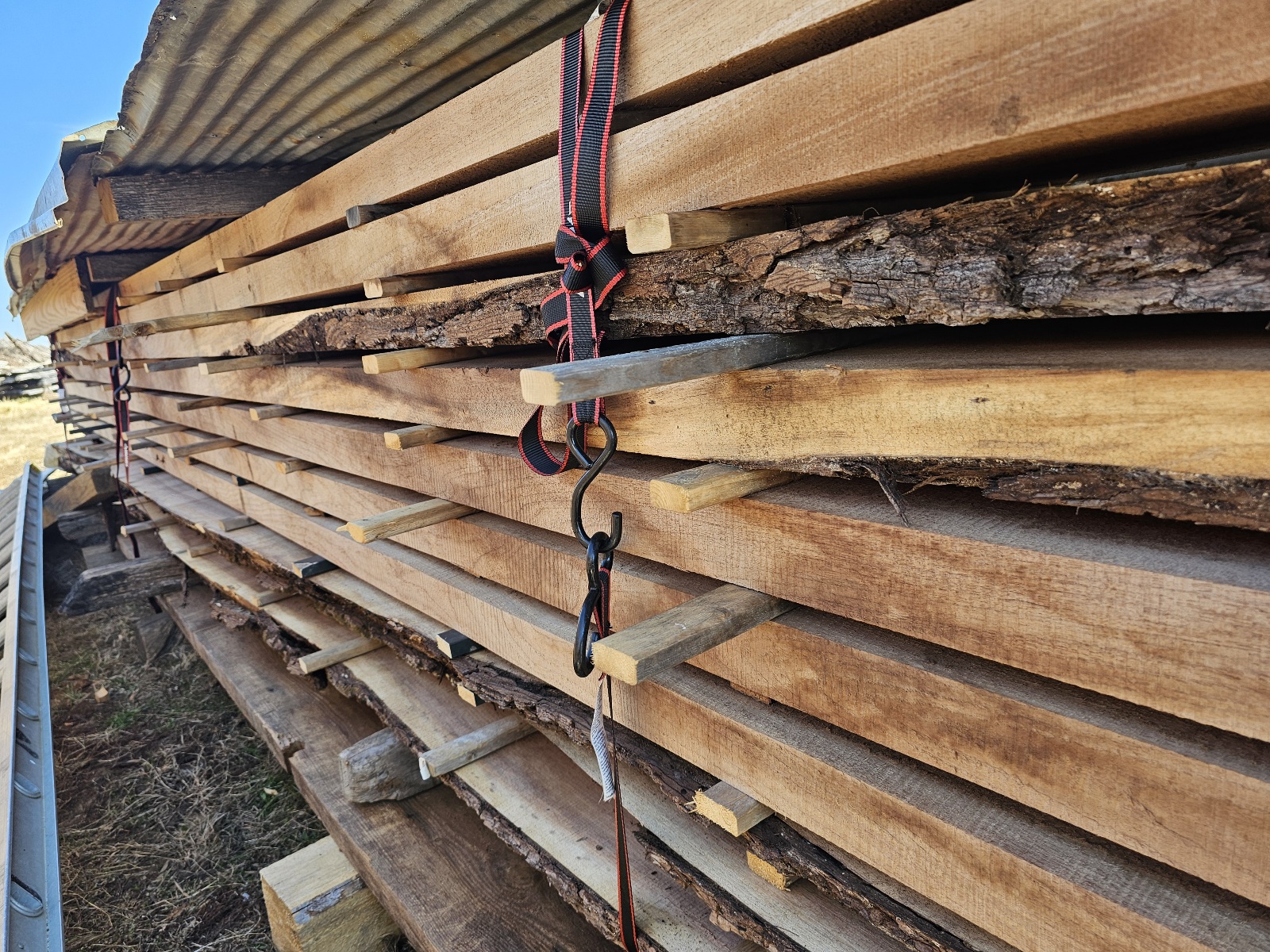 WoodPlanet.com : Offers to Sell : Hardwood Lumber